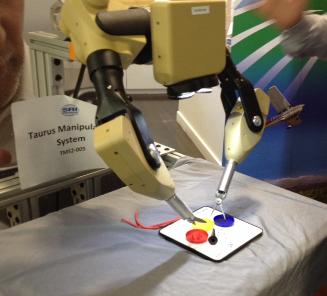 Silicon Valley Robot Block Party 2014 - SKMurphy, Inc.