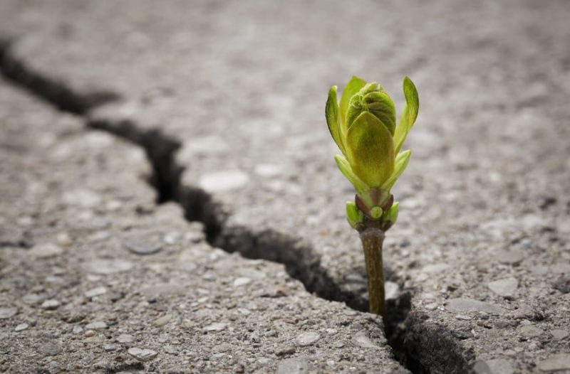 Cultivating Luck in Business Endeavors and Relationships