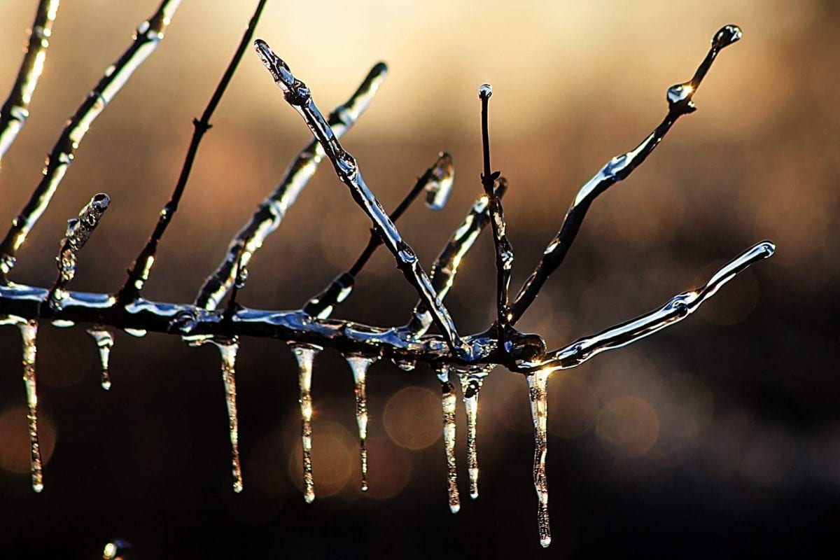 Andrew Grove on Recognizing Reality - SKMurphy, Inc.